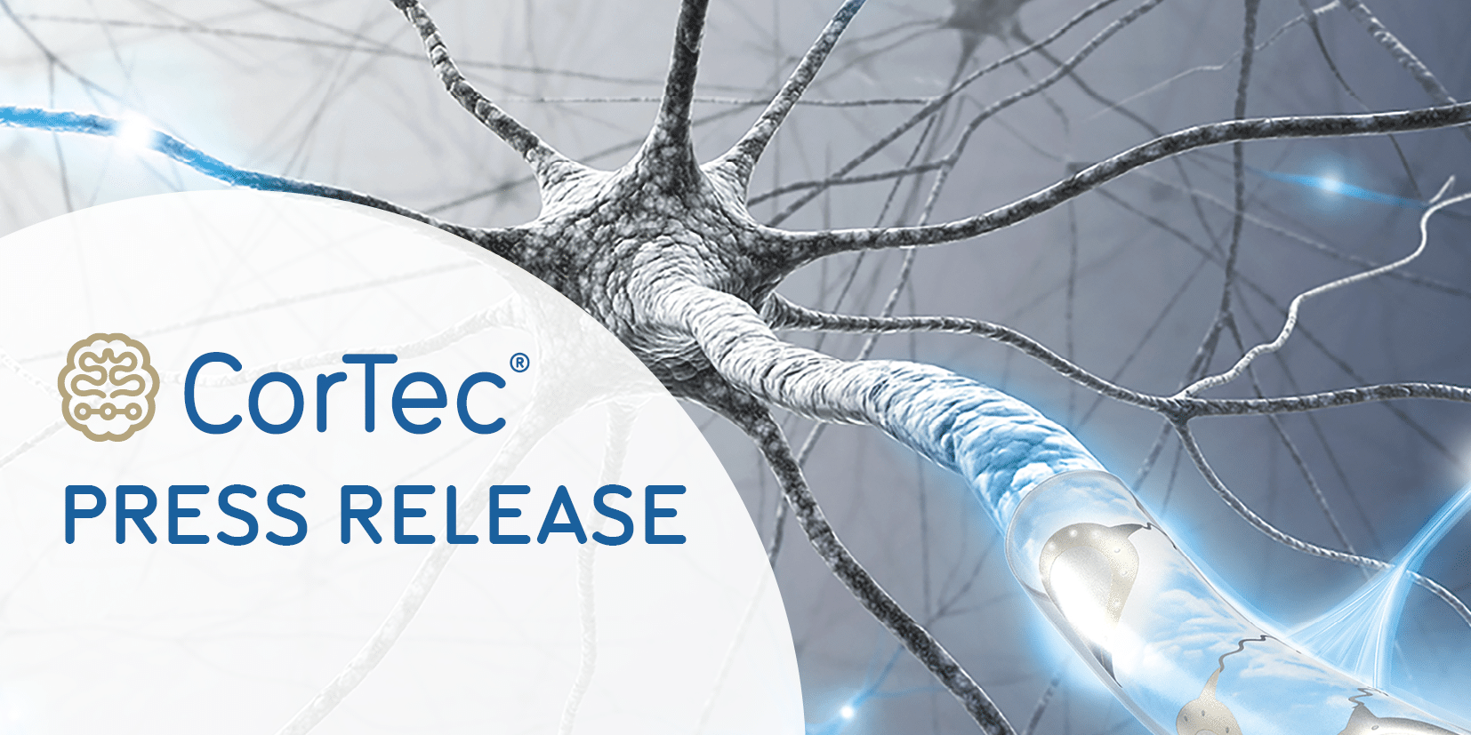 Medical Device manufacturer | neuromodulation | active implants