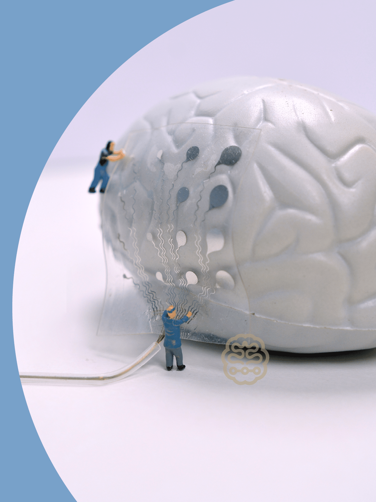 Speak your mind! - Pilot clinical study with severely paralyzed ...