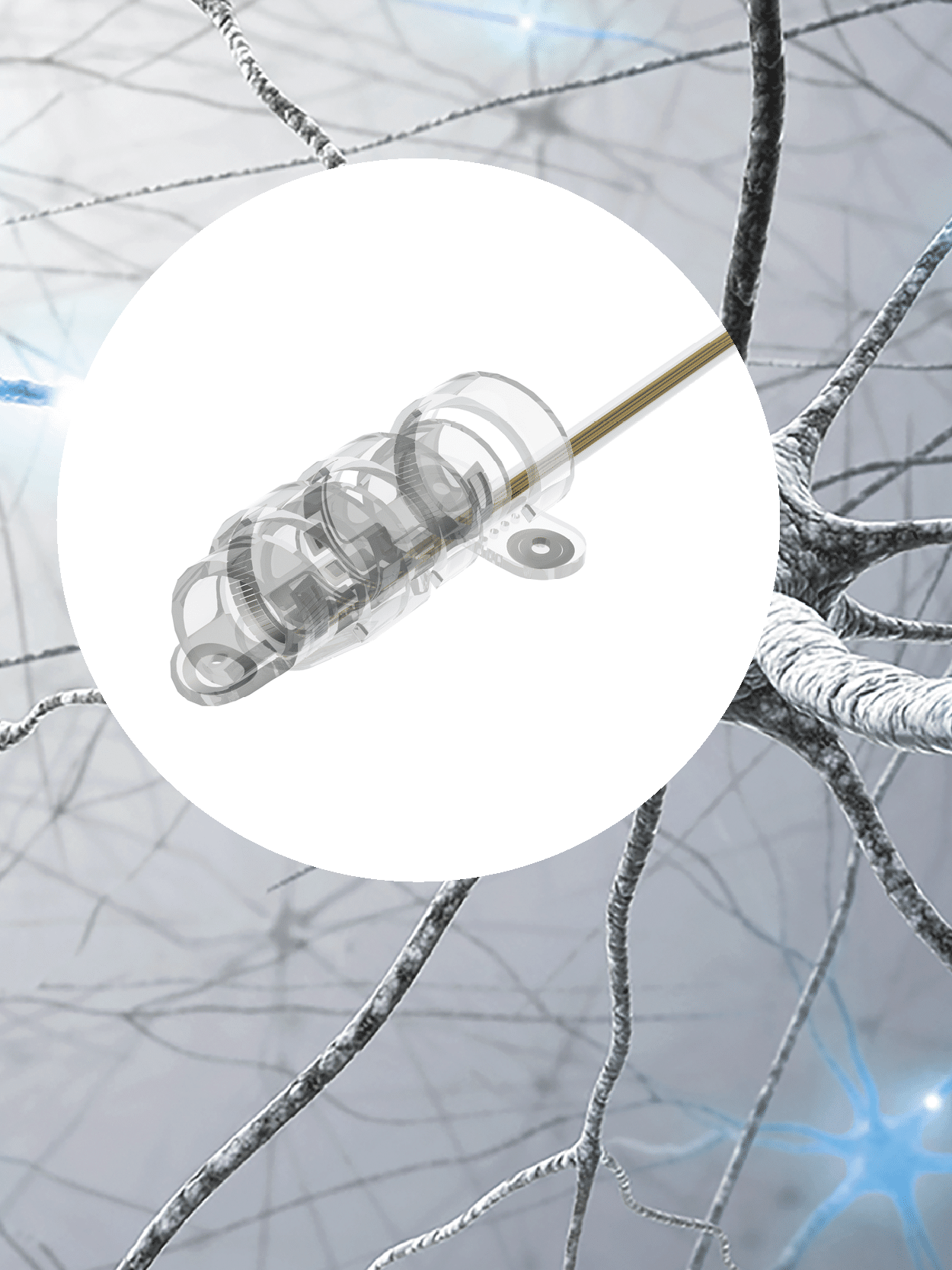 The long and winding road towards specific vagus nerve modulation ...