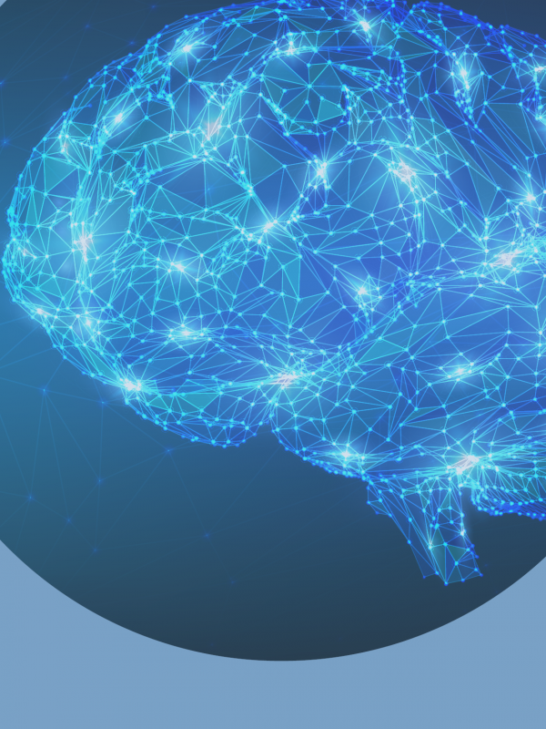 A Software Interface for Developing Next Generation Neurotherapies ...